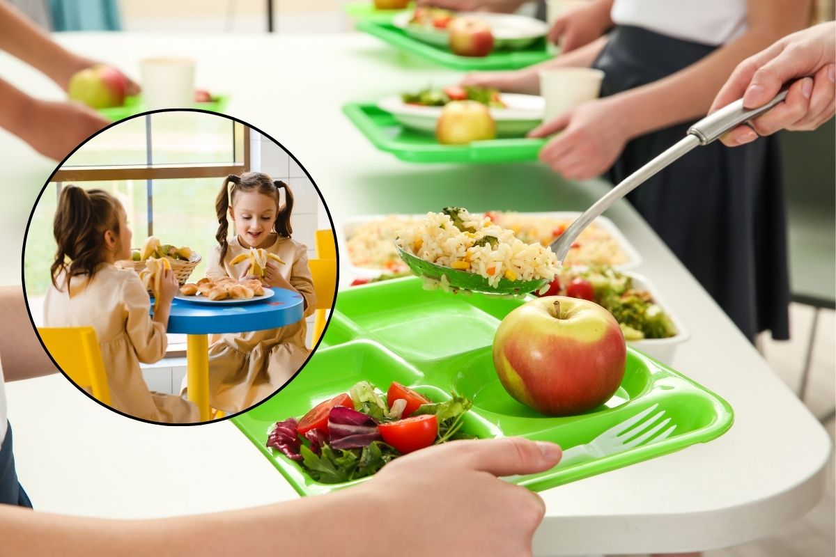 Nova pravila školske ishrane u KS: Zdrav obrok za zdravu budućnost ...